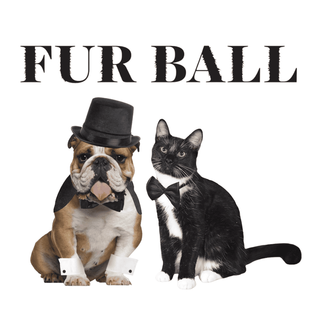 Fur Ball Event – Michigan Animal Welfare Foundation